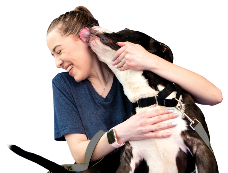 Humane Animal Rescue - Care They Need. Love They Deserve.