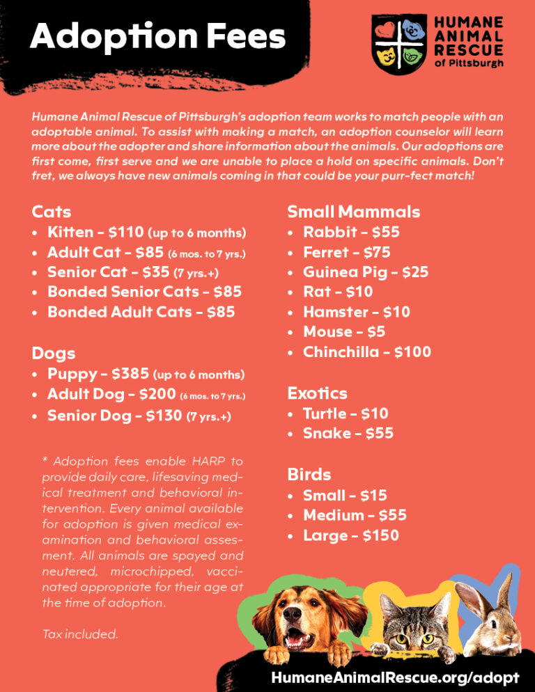 Adopt - Humane Animal Rescue