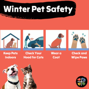 Veterinary Care - Humane Animal Rescue