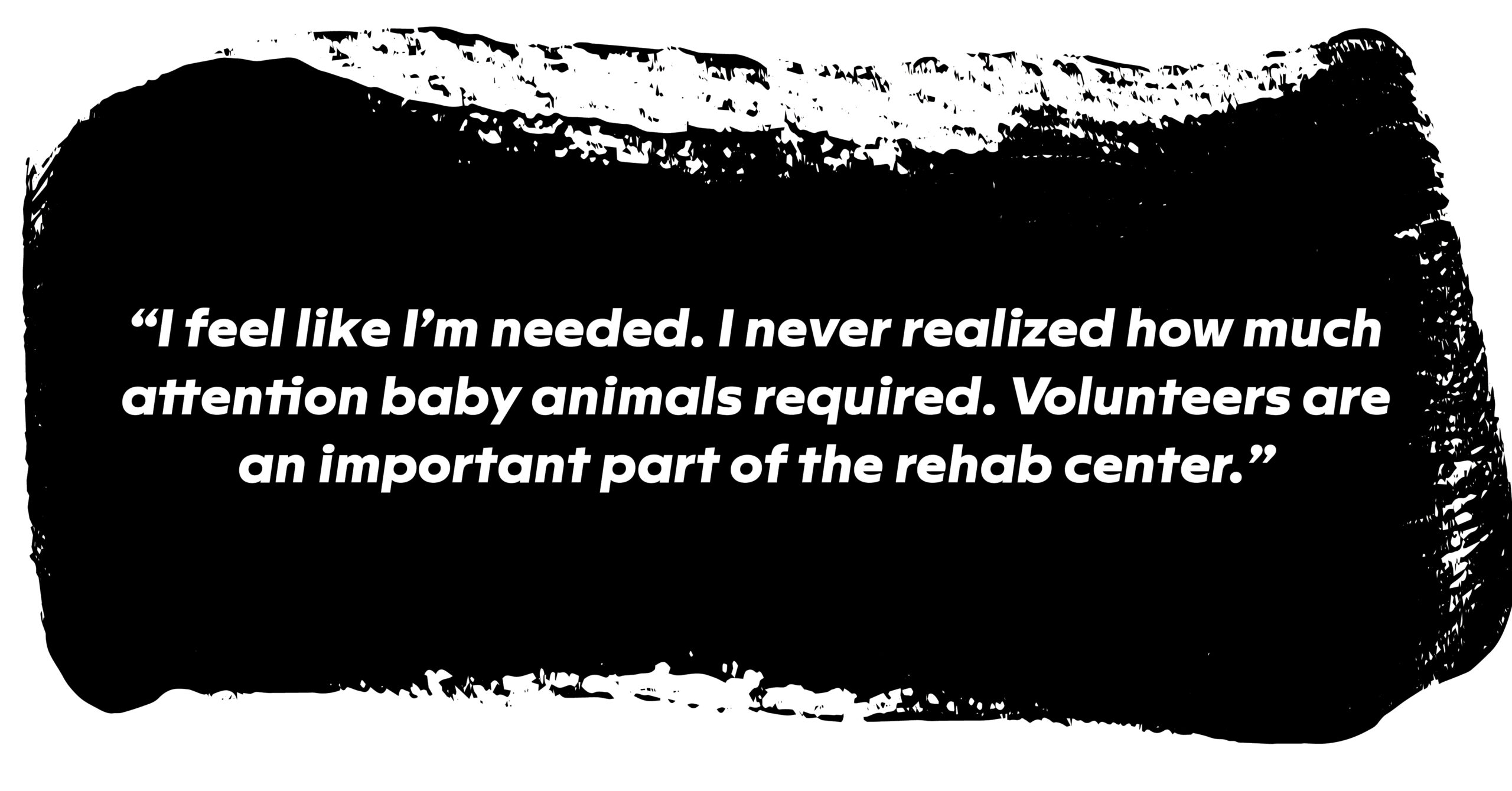 Becoming a Volunteer - Humane Animal Rescue