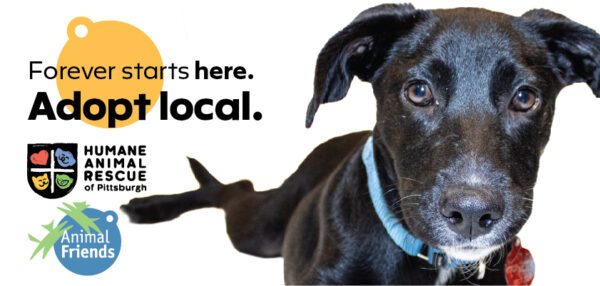Pittsburgh Area Animal Welfare Organizations Announce "Adopt Local ...