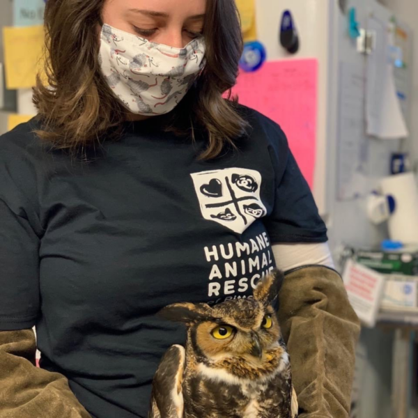 Volunteer: Wildlife Center - Humane Animal Rescue