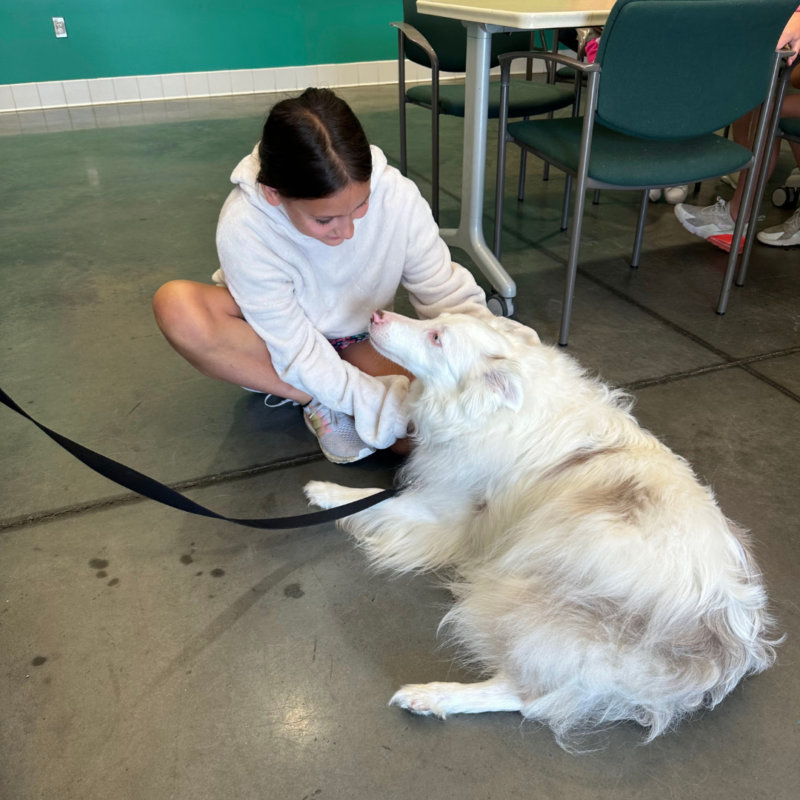 Humane & Wildlife Education - Humane Animal Rescue