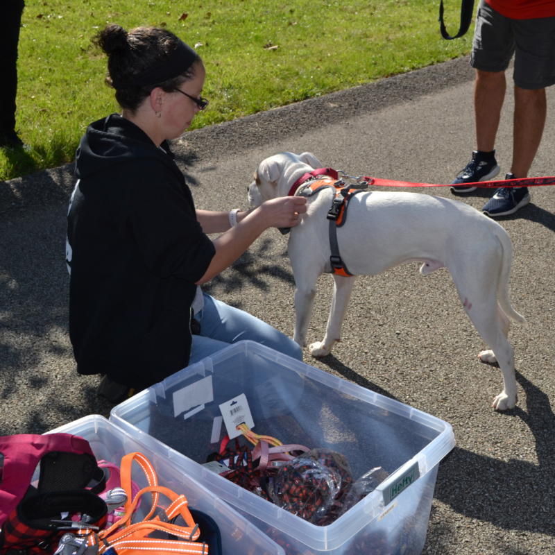 Humane Health Coalition - Humane Animal Rescue