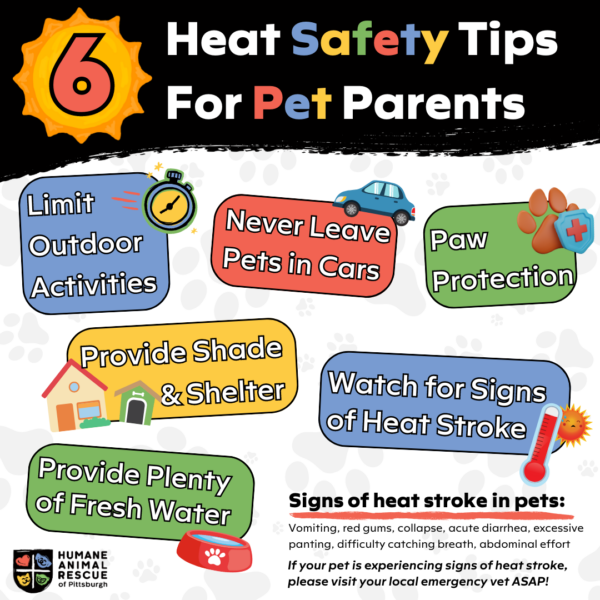 Heat Safety Tips For Pet Parents - Humane Animal Rescue