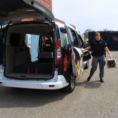 Report Cruelty/Neglect - Humane Animal Rescue