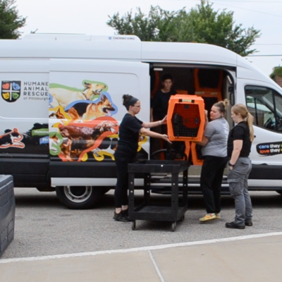 Report Cruelty/Neglect - Humane Animal Rescue