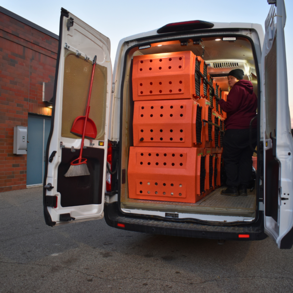 Report Cruelty/Neglect - Humane Animal Rescue