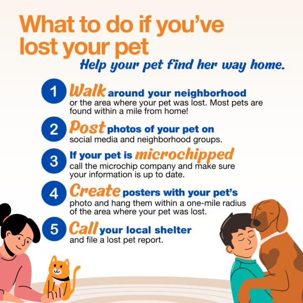 Lost and Found Pets - Humane Animal Rescue