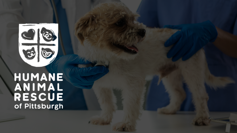 Events from May 17, 2021 – June 28, 2021 – Humane Animal Rescue
