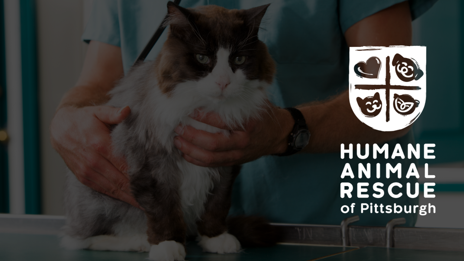 Events from May 17, 2021 – June 28, 2021 – Humane Animal Rescue