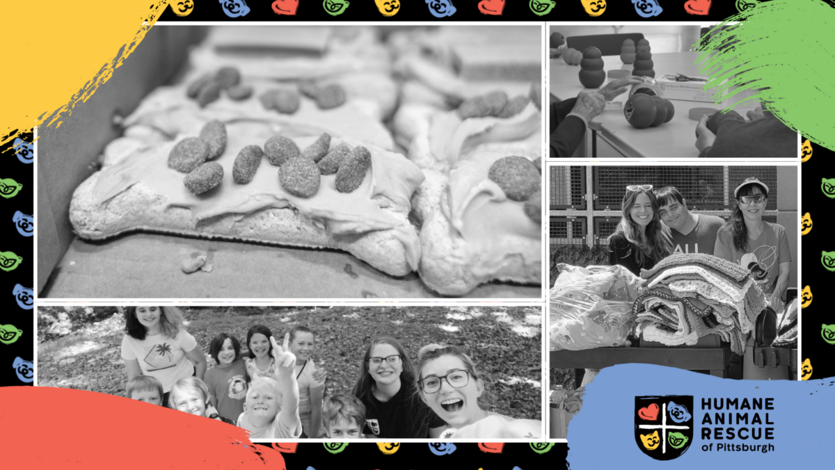 North Side - Humane Animal Rescue