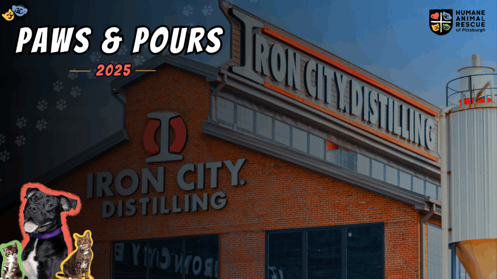 Paws and Pours at IC Distillery - Humane Animal Rescue
