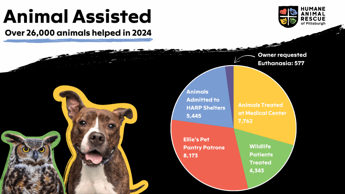 Statistics and Reports - Humane Animal Rescue